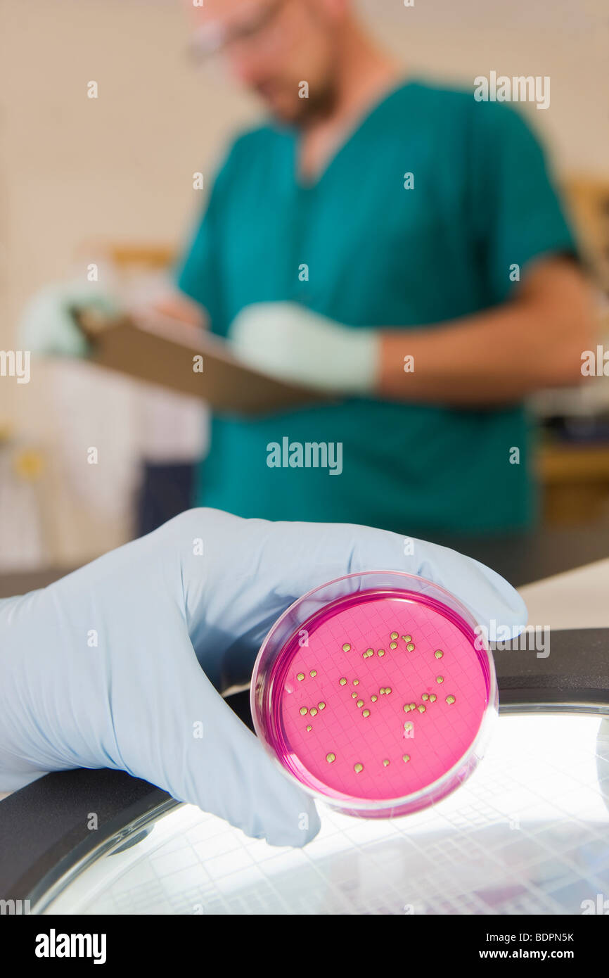 Bacterial sample hi-res stock photography and images - Alamy