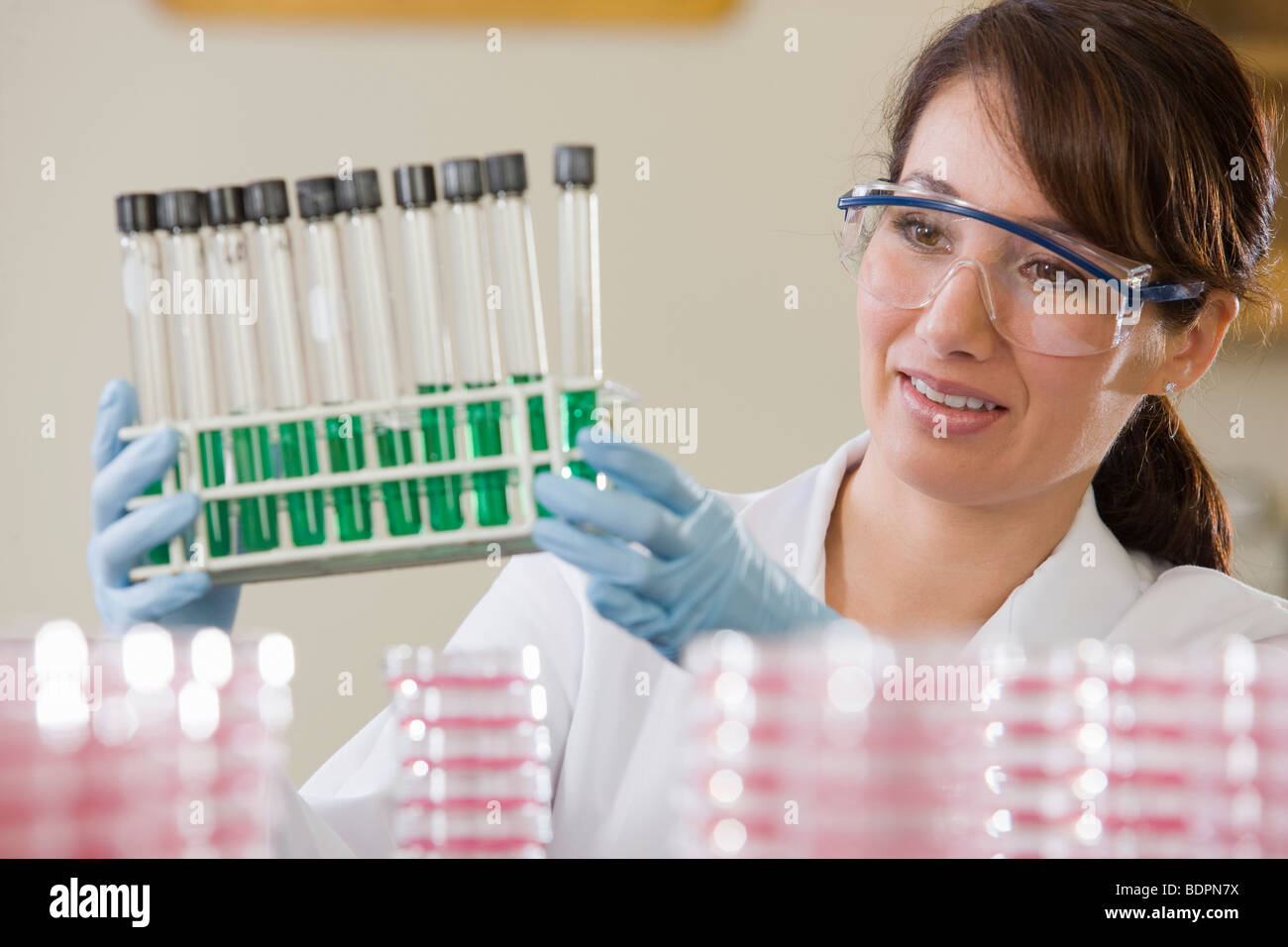 Laboratory technician examining medical samples hi-res stock ...