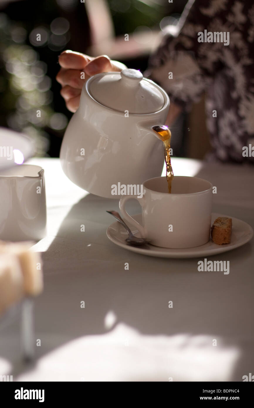 Tea being poured into a cup and saucer from a white tea pot Stock Photo ...