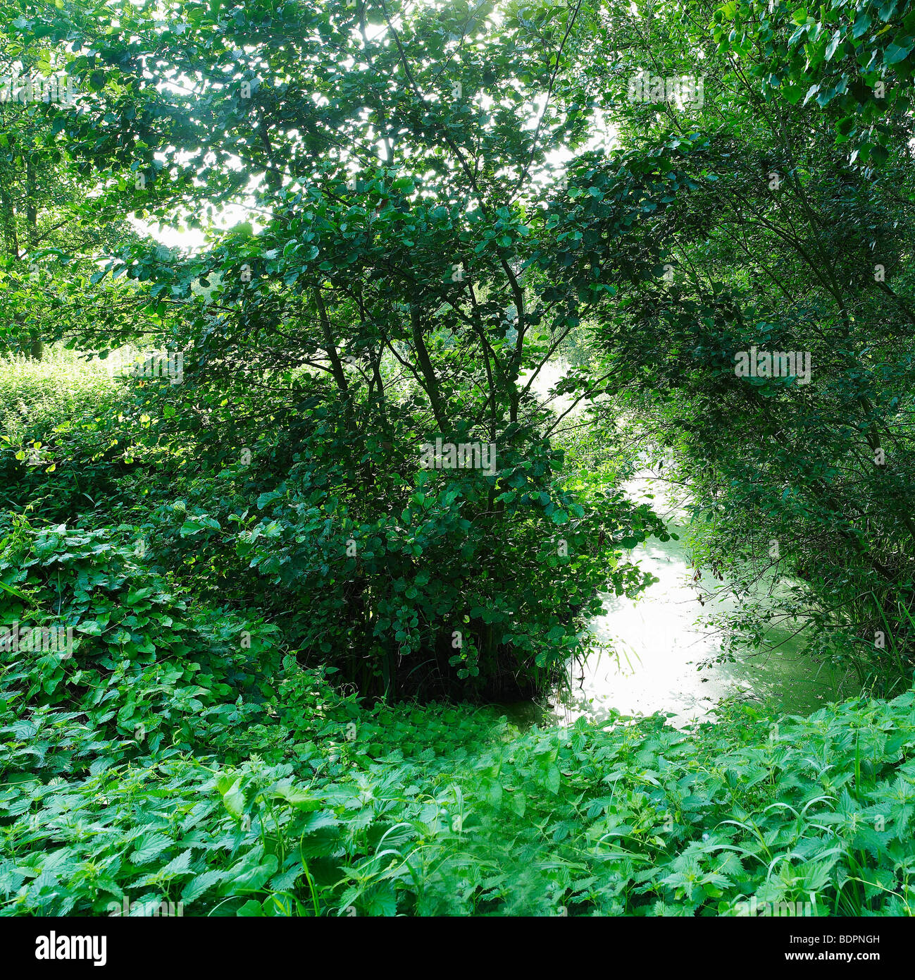 Valley of the river waveney hi-res stock photography and images - Alamy