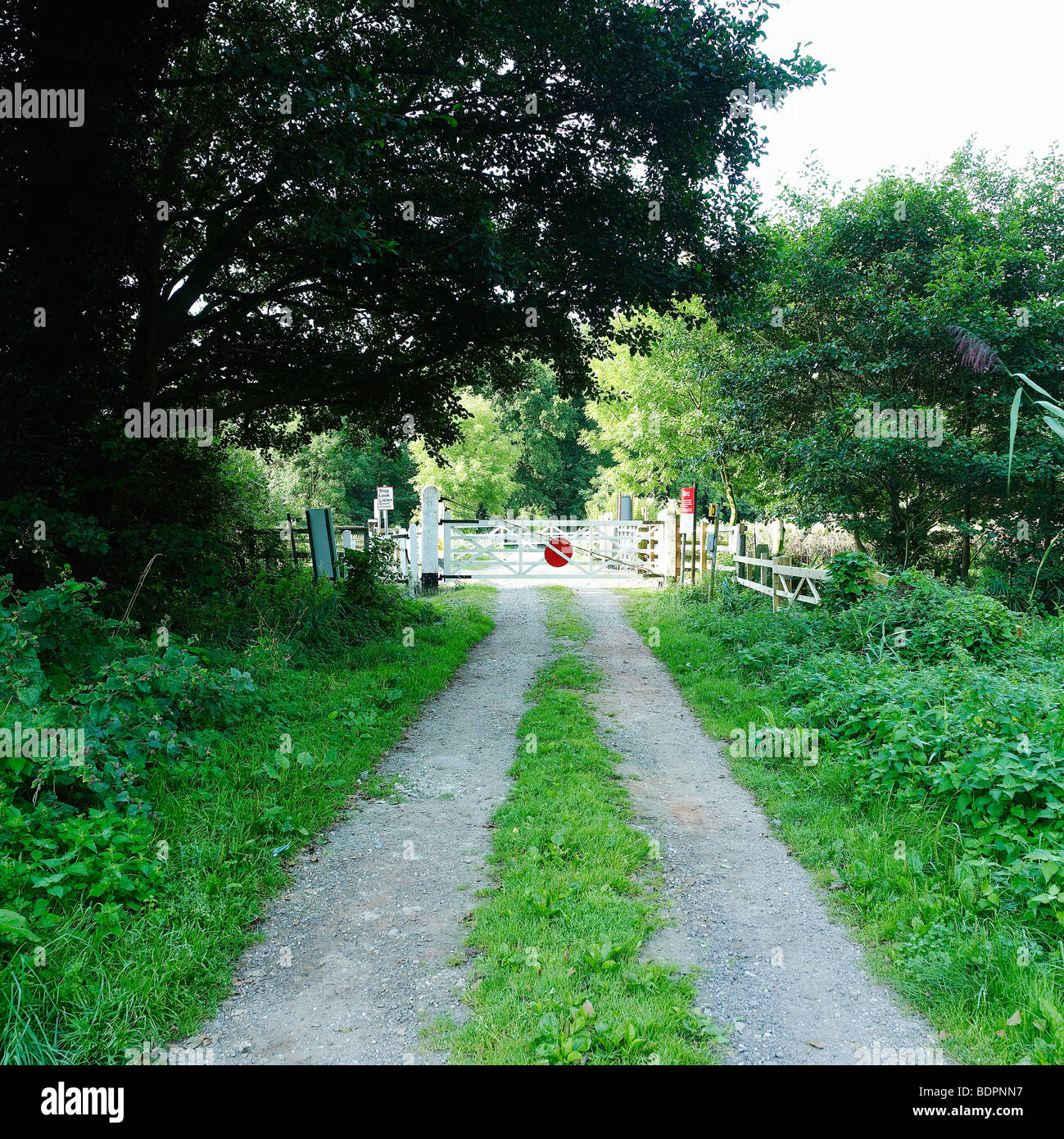 Road level hi-res stock photography and images - Alamy