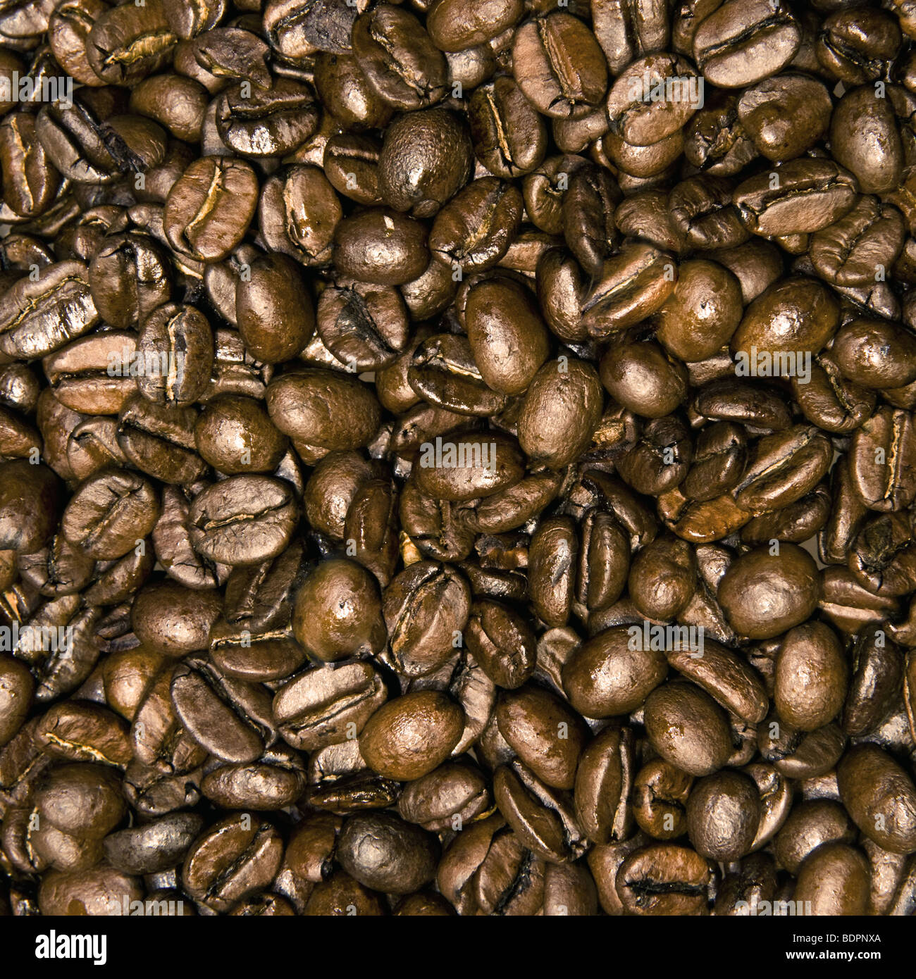 coffee crop texture or background Stock Photo - Alamy