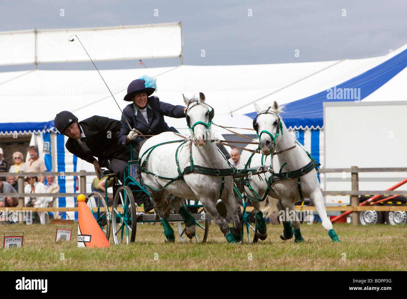 Scurry Racing or Double Harness Scurry Driving UK Stock Photo - Alamy