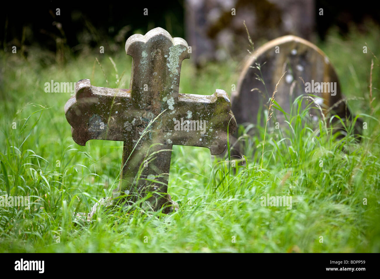 A grave stone in an over grown neglected church yard, Worcestershire ...