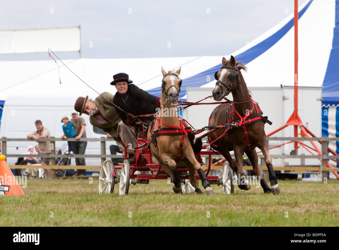 Scurry pony hi-res stock photography and images - Alamy