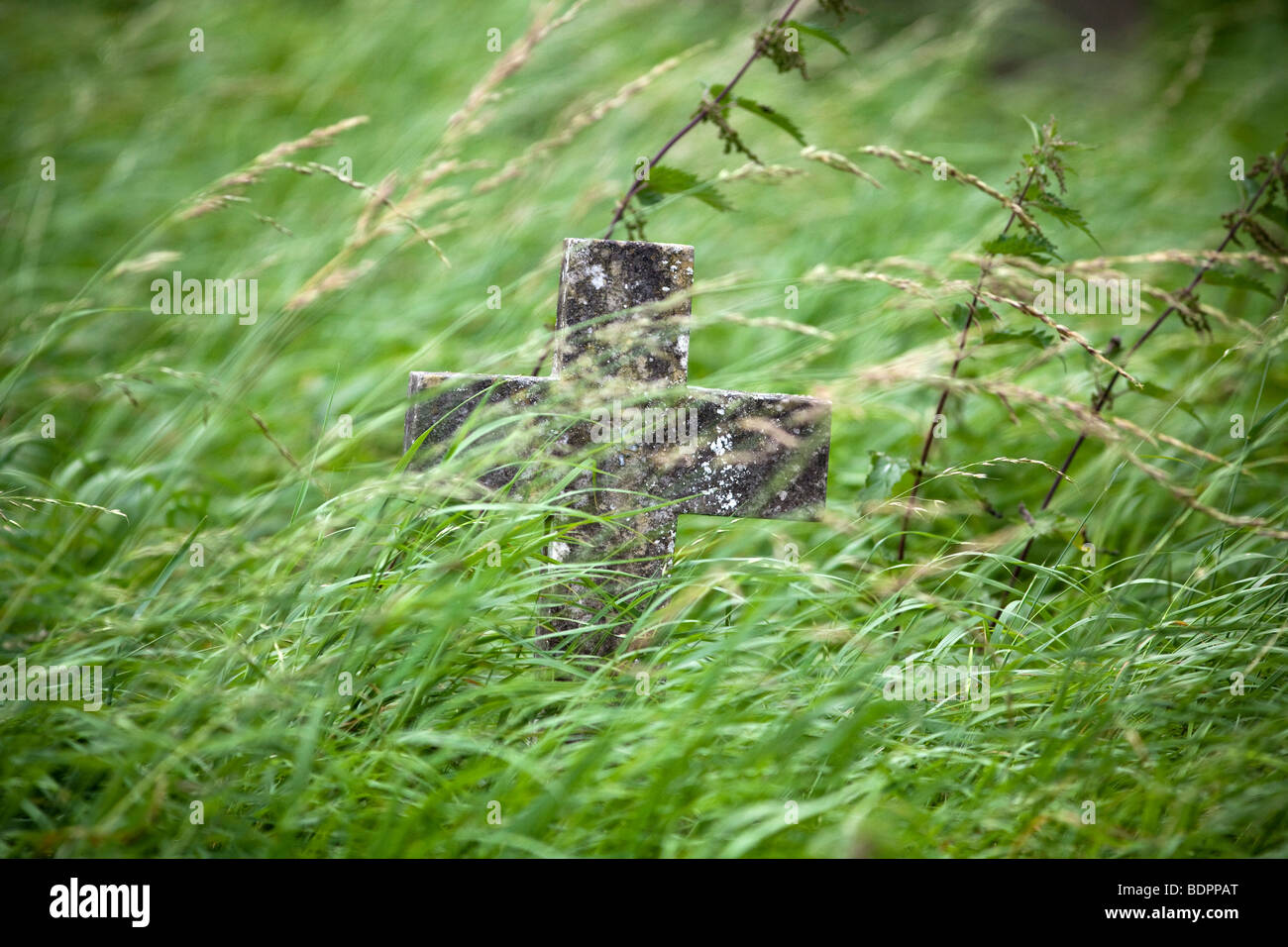 A grave stone in an over grown neglected church yard, Worcestershire ...