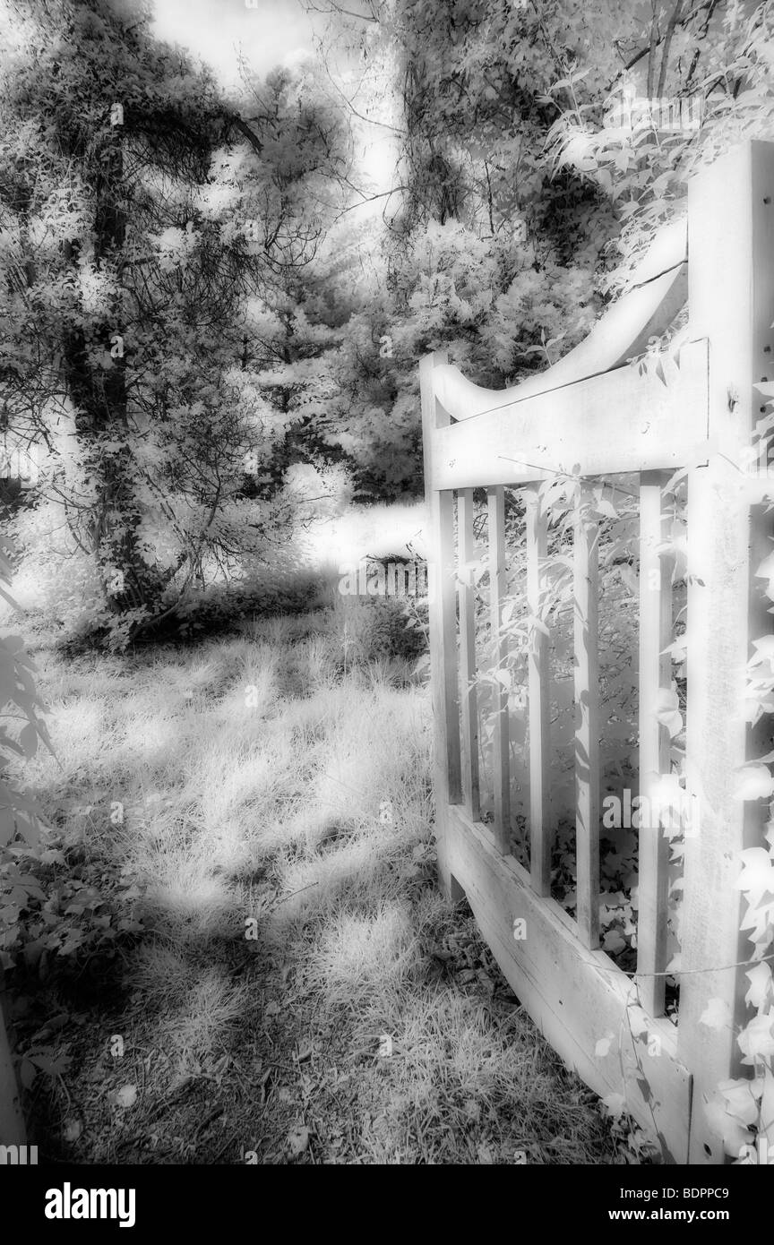 Garden gate flowers Black and White Stock Photos & Images - Alamy