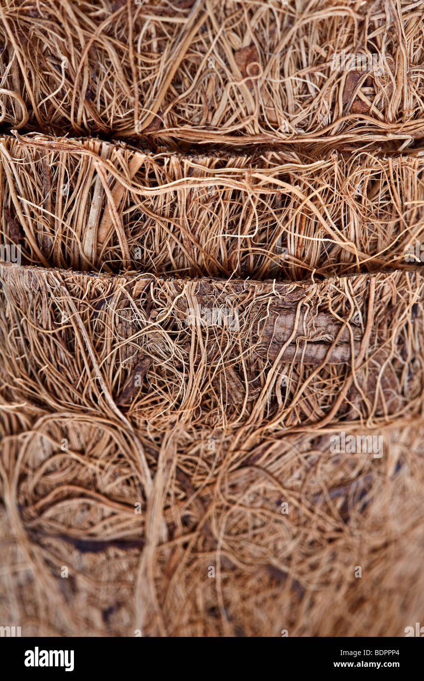 Coir Pots High Resolution Stock Photography and Images - Alamy