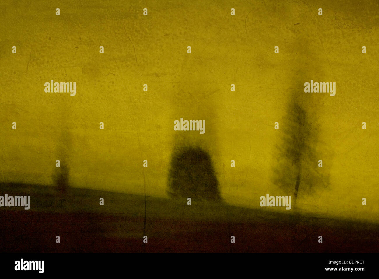 Three Lonely Trees High Resolution Stock Photography and Images - Alamy