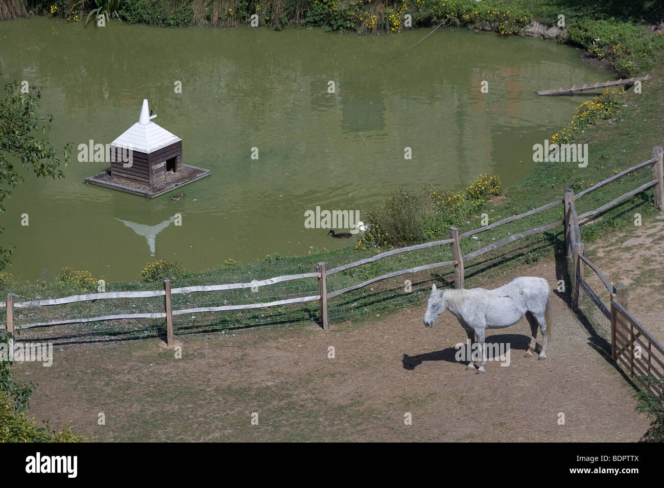 aerial view paddock pond horse fence gate sunny allington maidstone ...