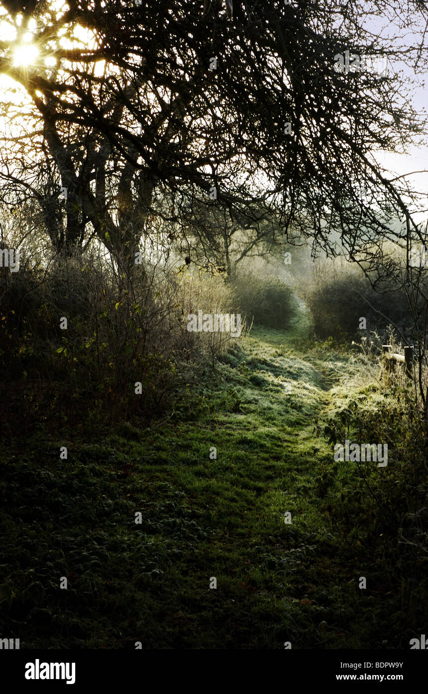 English gentle countryside path hi-res stock photography and images - Alamy