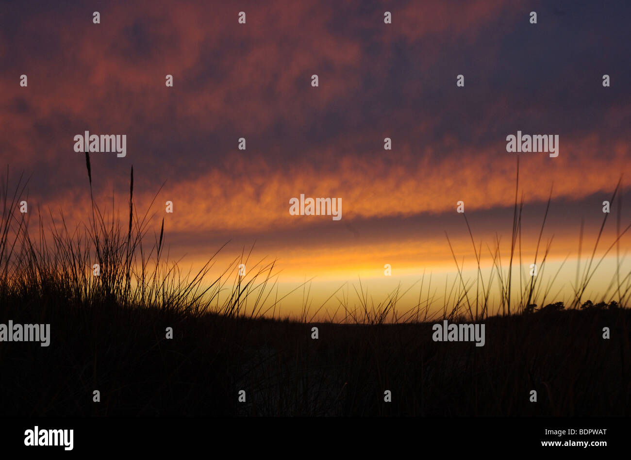 Orange sunset over grassy sand dunes in Suffolk, England Stock Photo ...