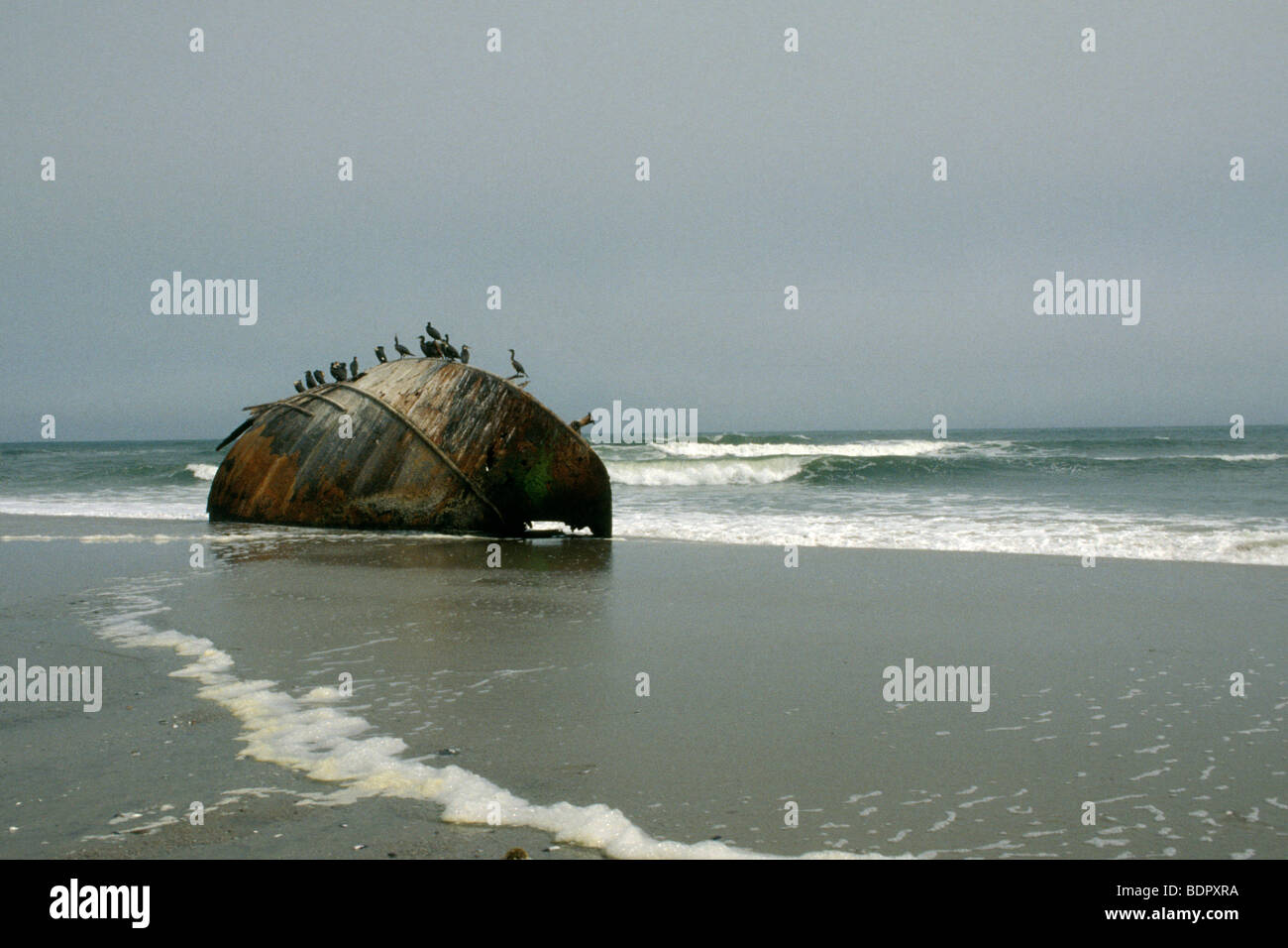 namibia, cape cross Stock Photo - Alamy