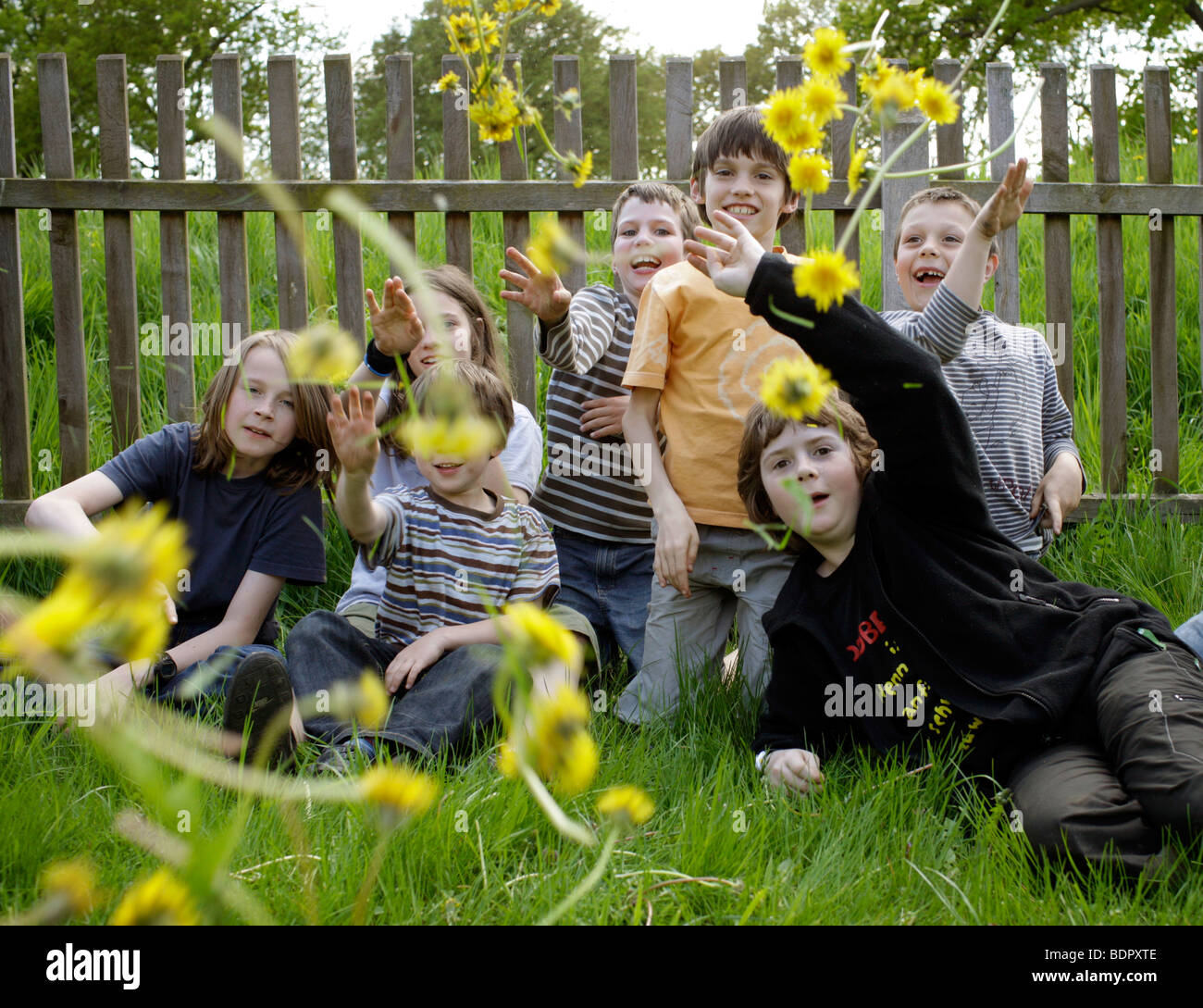 Boys playing with flowers Stock Photo - Alamy