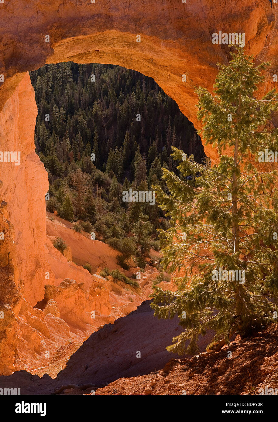 Natural Bridge is technically an arch formed by erosion, Bryce Canyon ...
