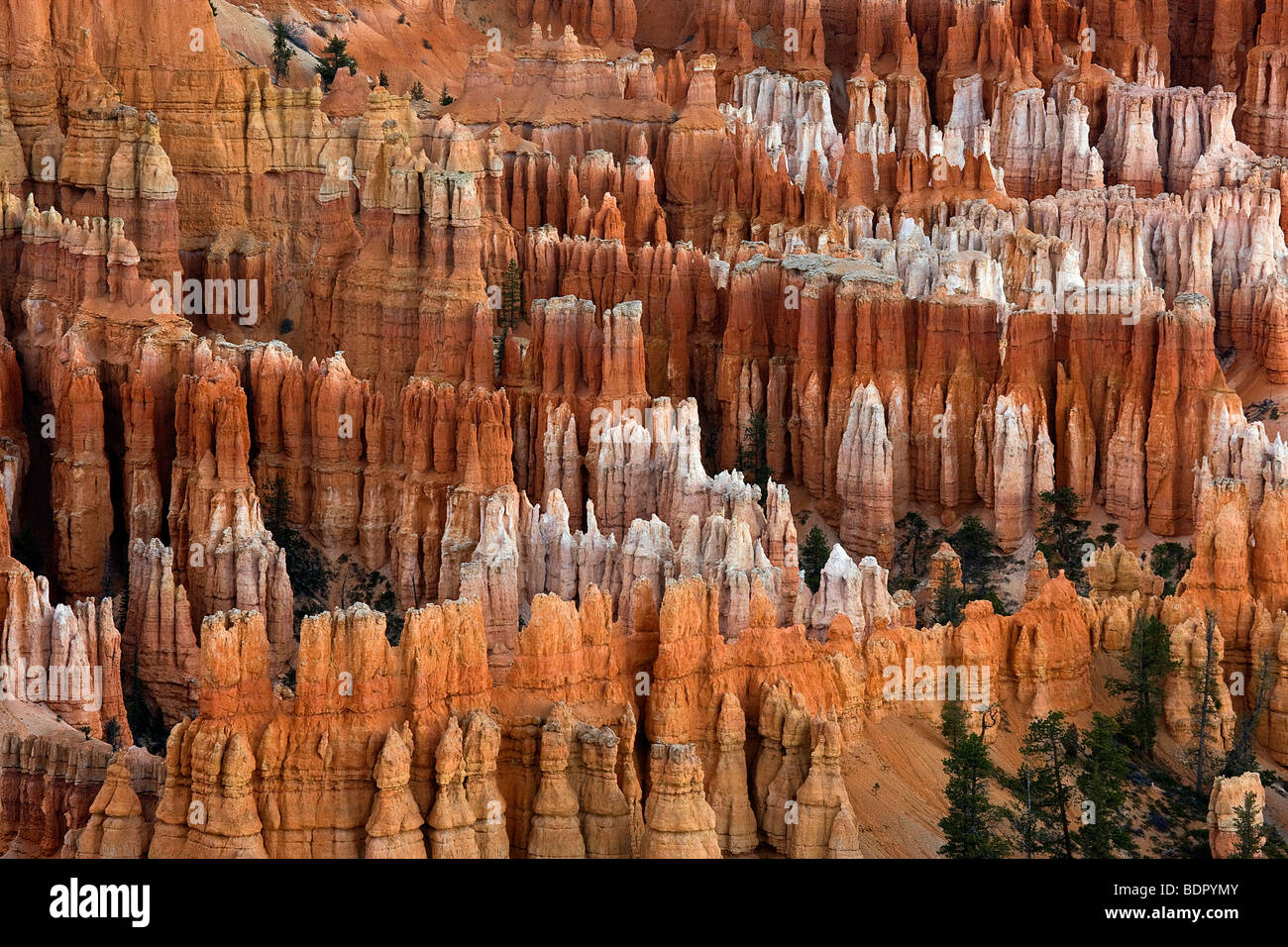 Hoodoo formations as seen from Bryce Point, Bryce Canyon National Park ...