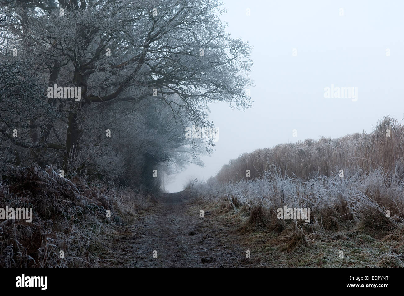 countryside in winter Stock Photo - Alamy