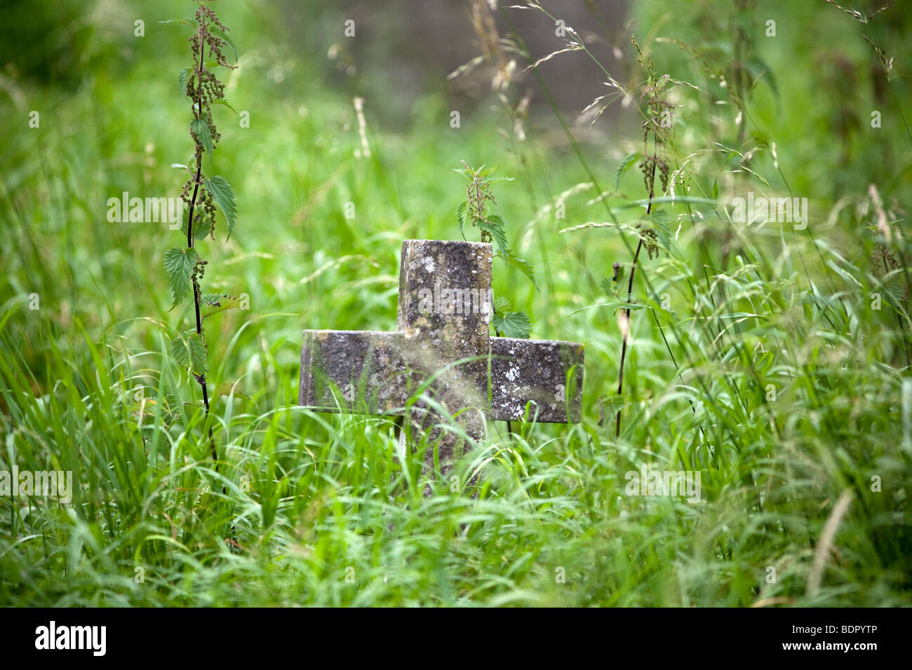 Grave stone in over grown hi-res stock photography and images - Alamy