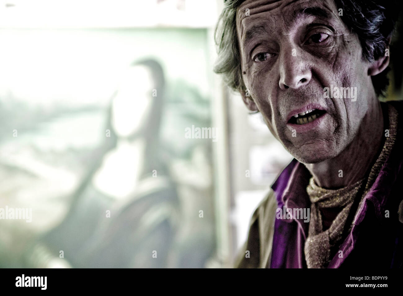 The face of an artist Stock Photo - Alamy