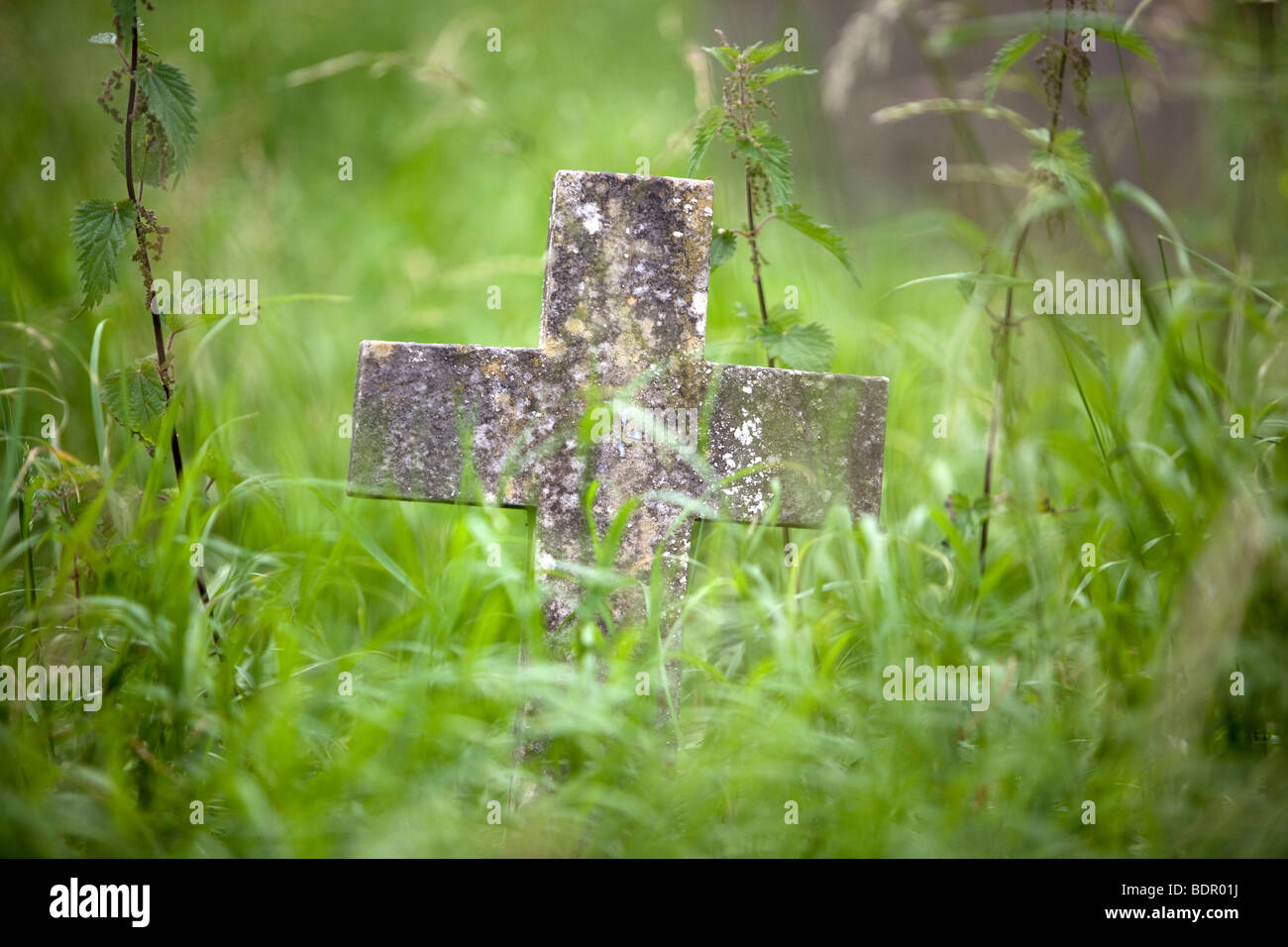 A grave stone in an over grown neglected church yard, Worcestershire ...