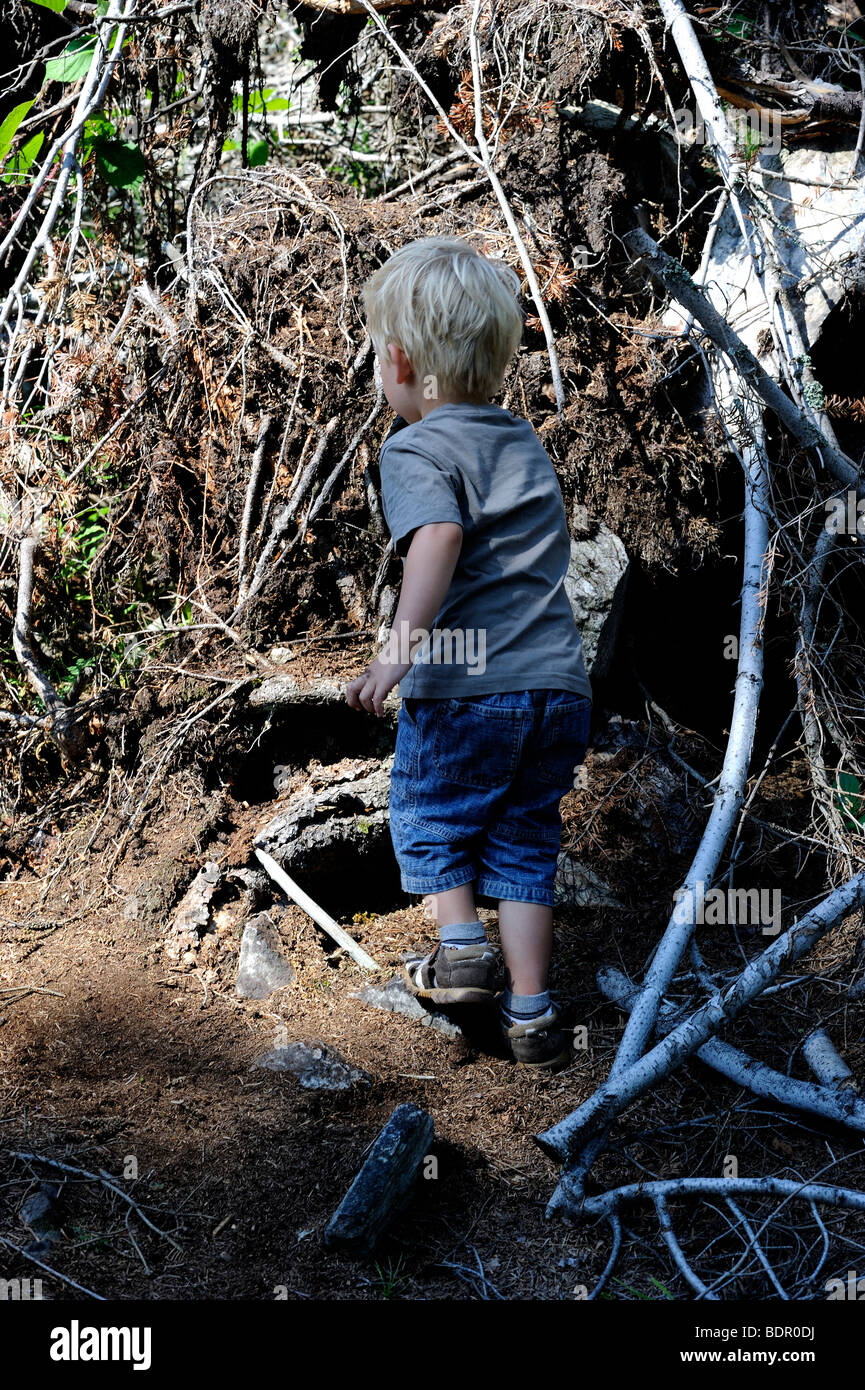 A boy playing in the forest summer Stock Photo - Alamy