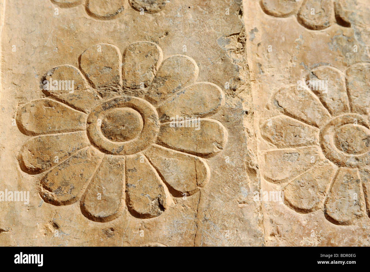 Flower shape relief, Persepolis, Iran Stock Photo - Alamy