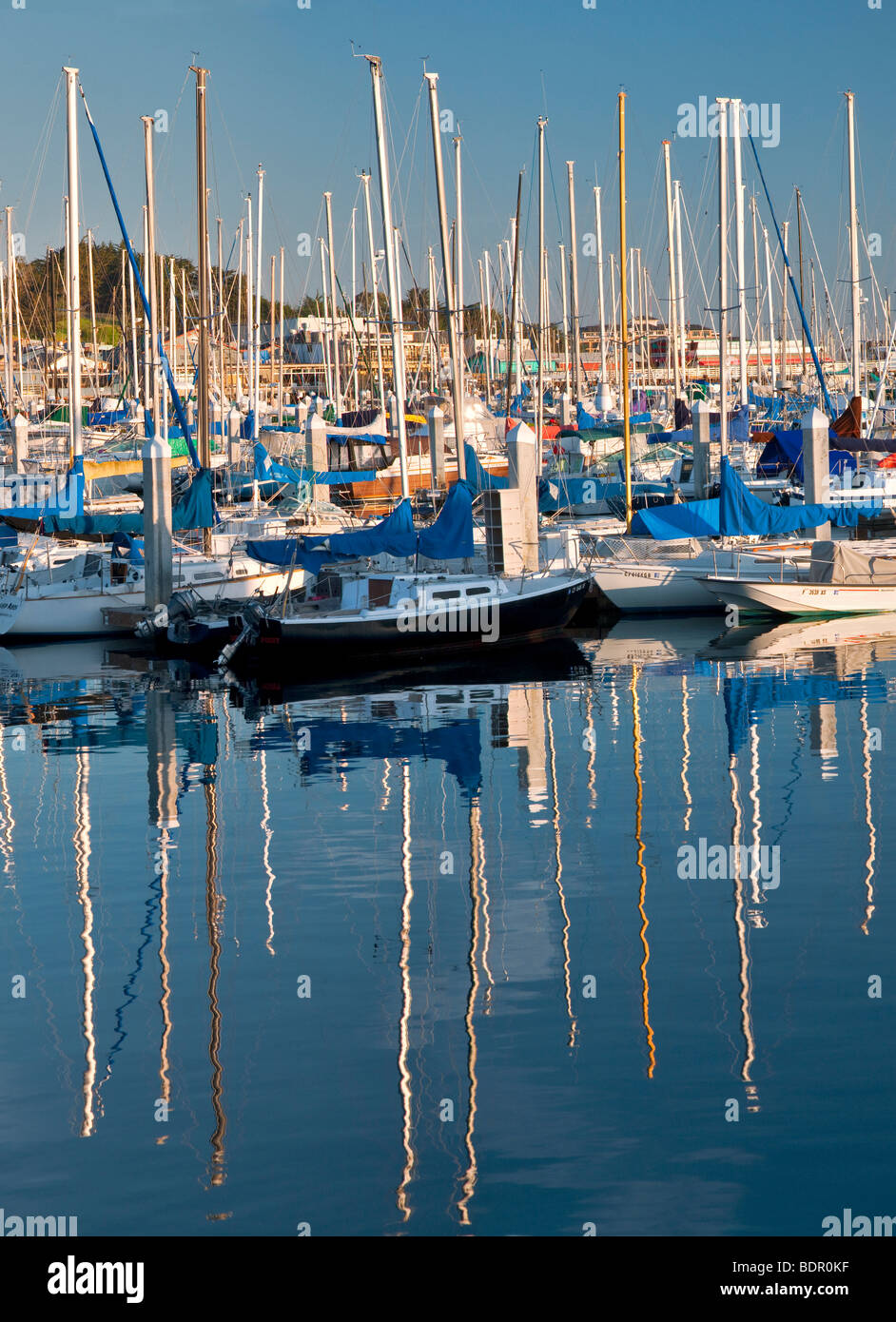 Sailboats in harbor. Fishermans Warf. Monterey Bay, California Stock ...