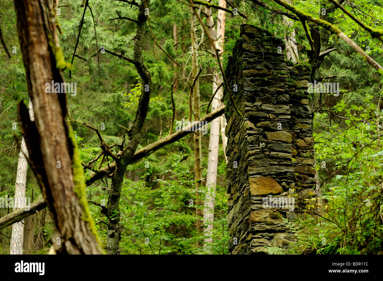 The Bohemian Forest mountain range, Sumava National Park, Böhmerwald ...
