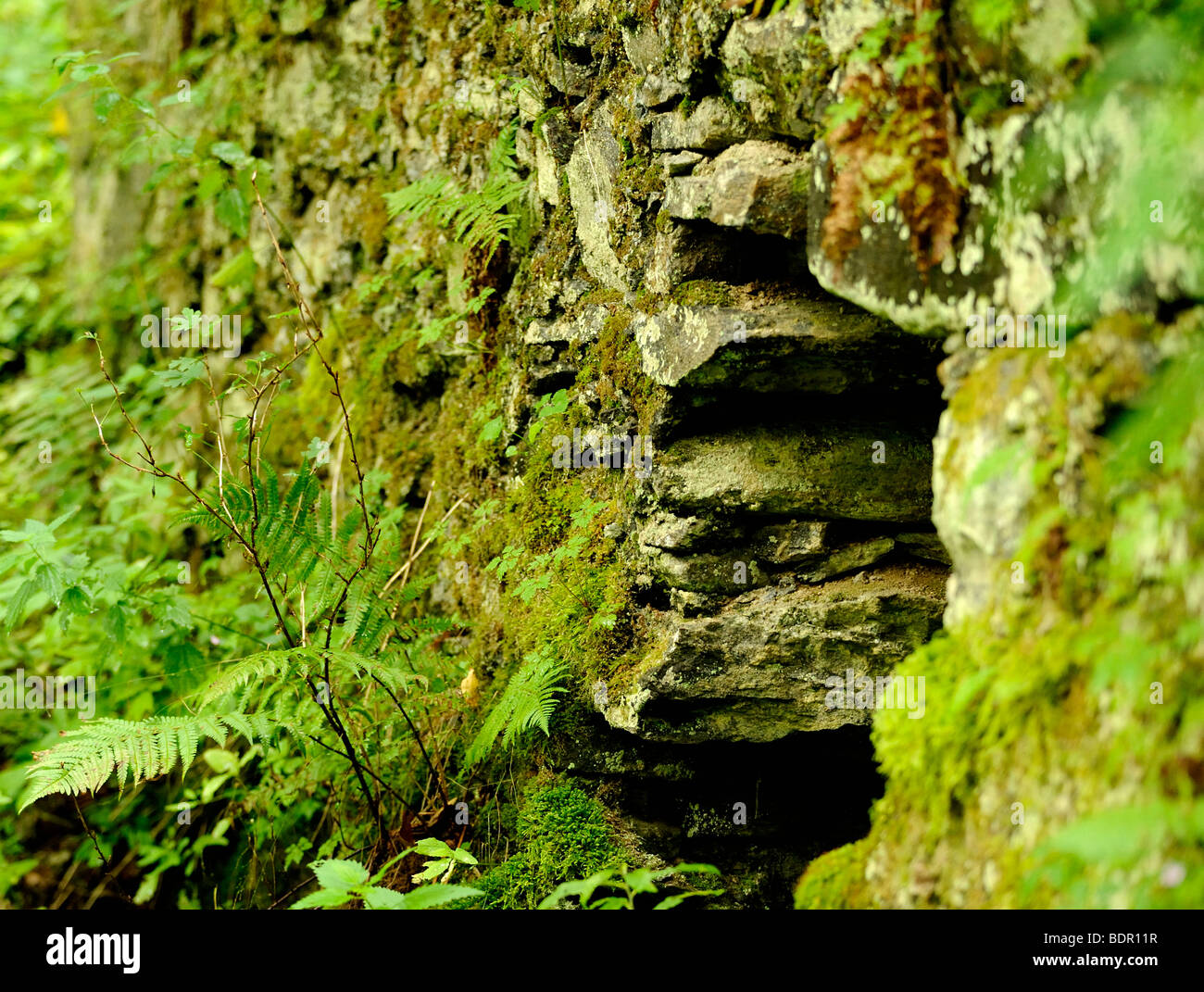 The Bohemian Forest mountain range, Sumava National Park, Böhmerwald ...