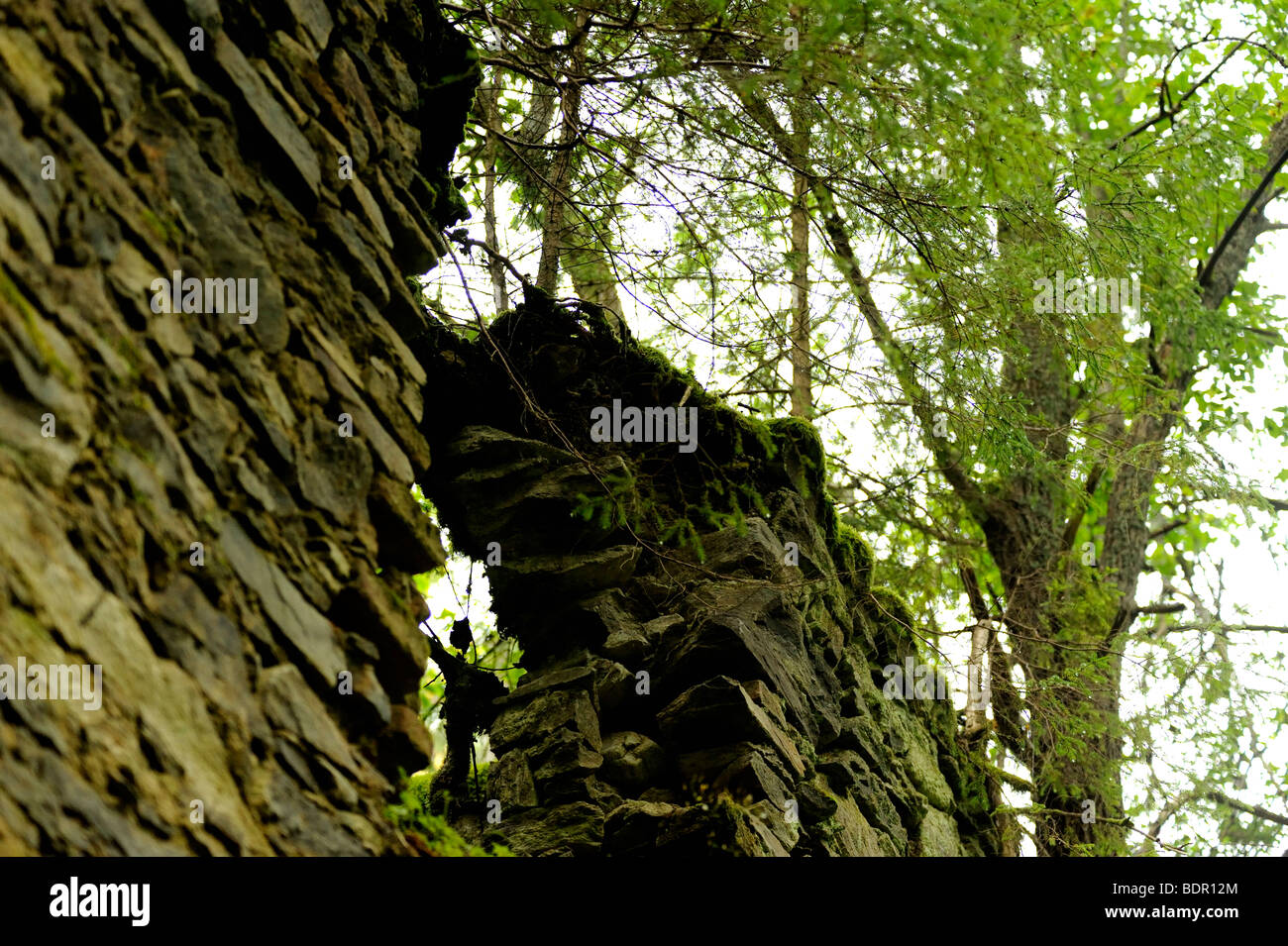 The Bohemian Forest mountain range, Sumava National Park, Böhmerwald ...