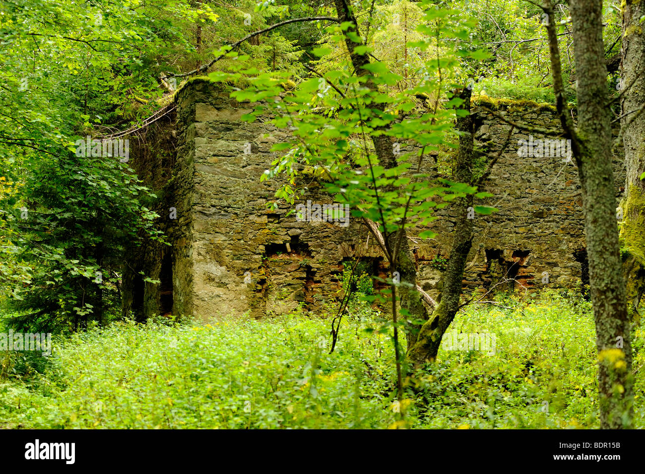 The Bohemian Forest mountain range, Sumava National Park, Böhmerwald ...