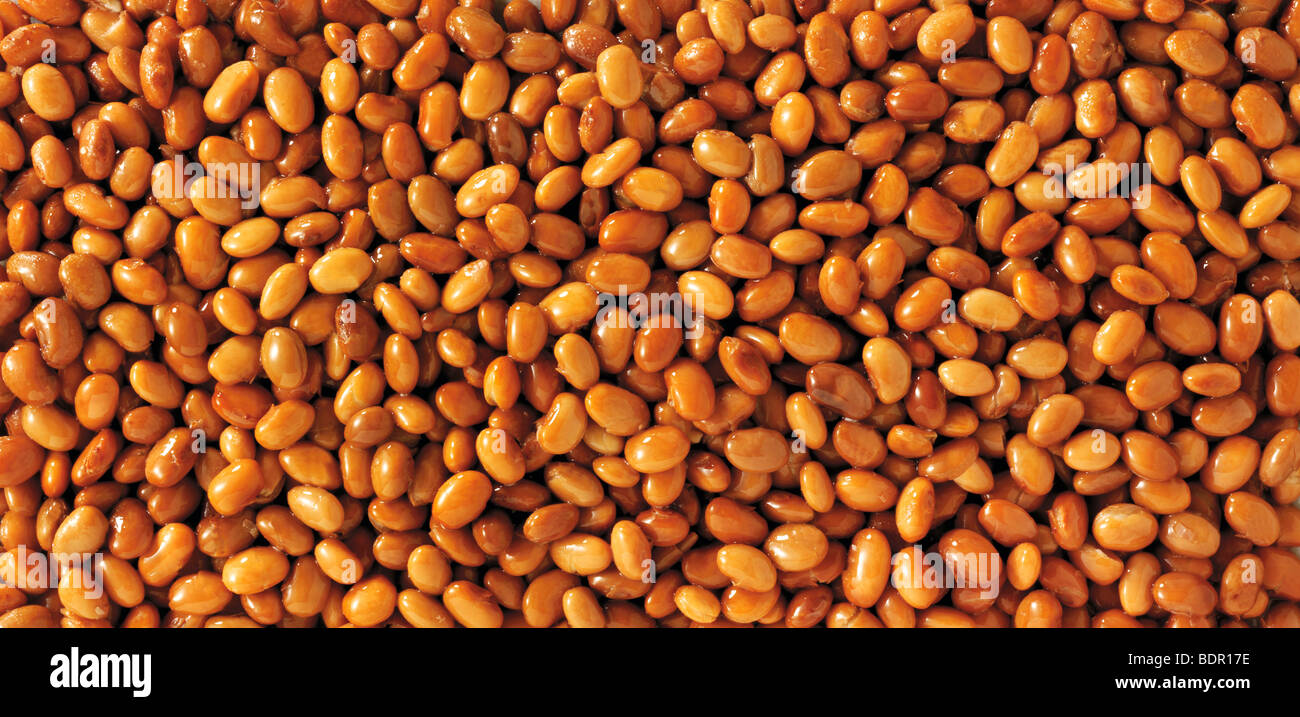 Whole borlotti beans, cranberry bean, Roman bean, romano beans - close ...