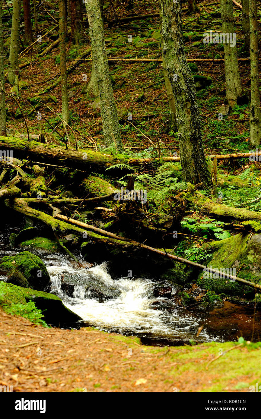 The Bohemian Forest mountain range, Sumava National Park, Böhmerwald ...