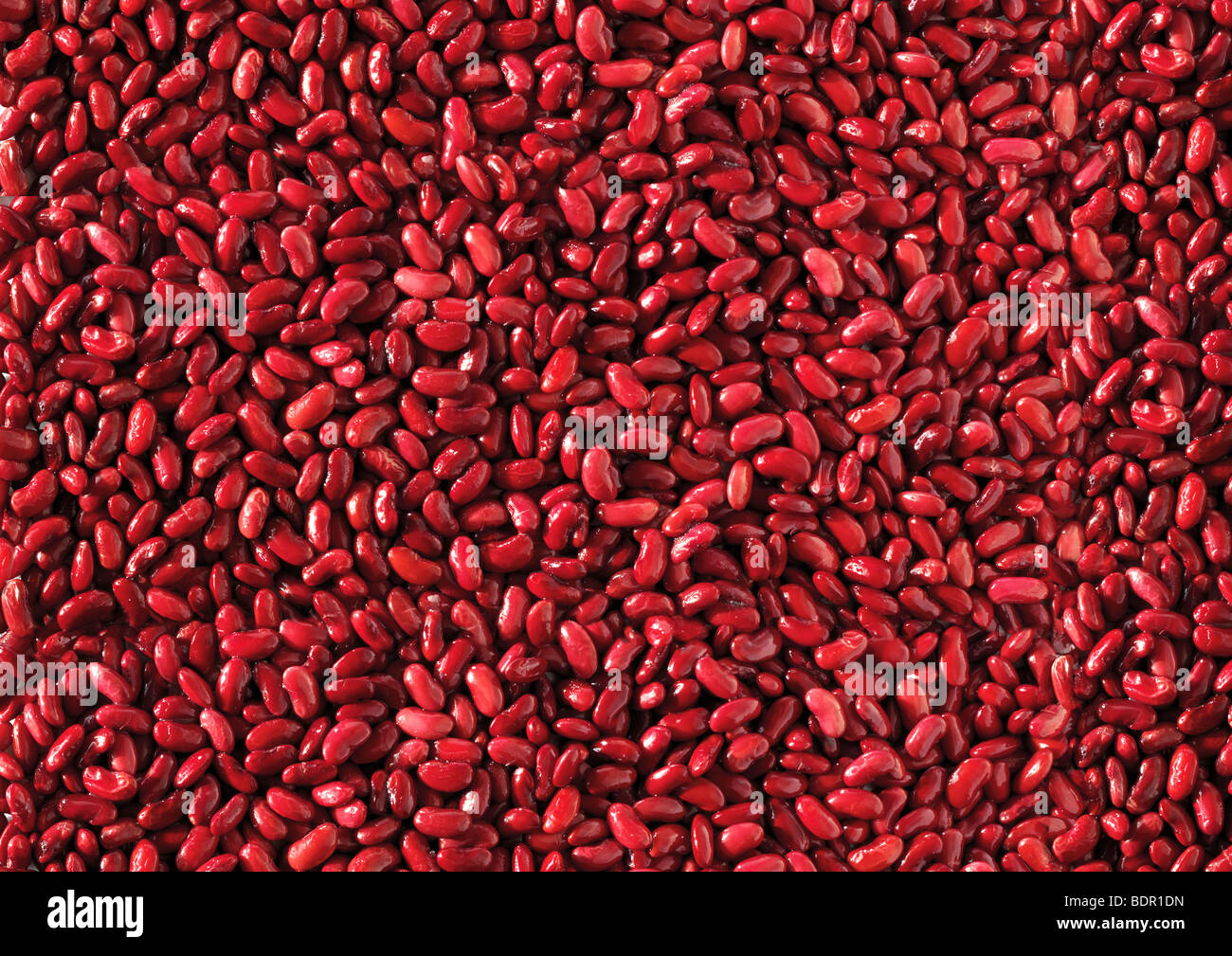 Whole red kidney beans - close up full frame top shot (Phaseolus ...