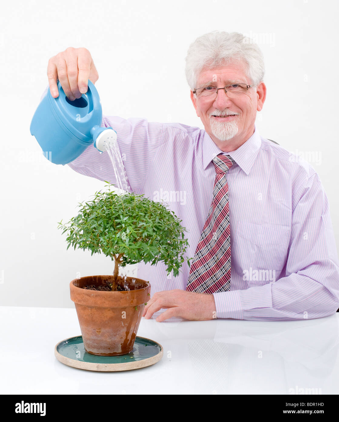 Small flowerpot and small leaf hi-res stock photography and images - Alamy