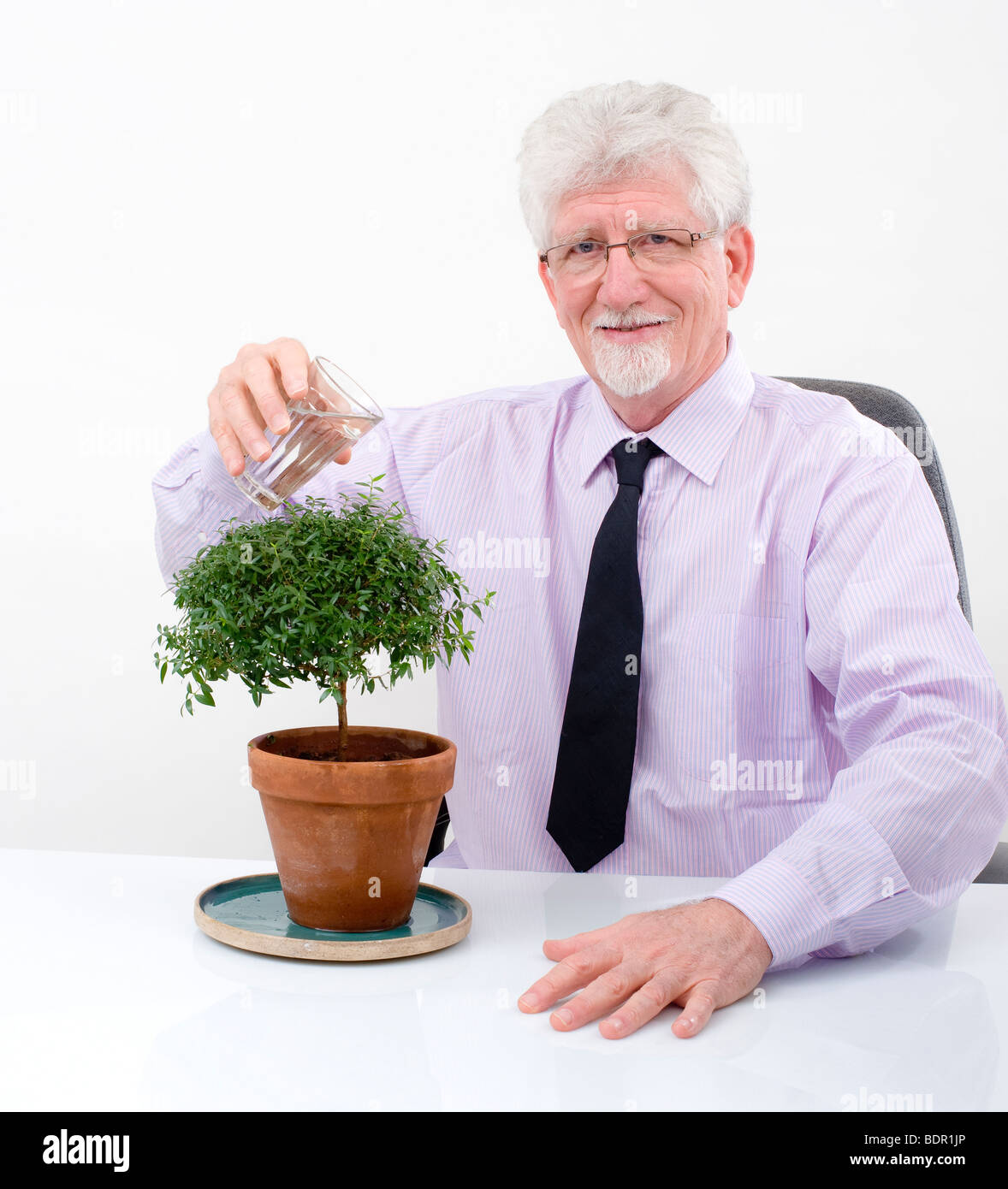 senior man watering a small tree with a glass of water Stock Photo - Alamy