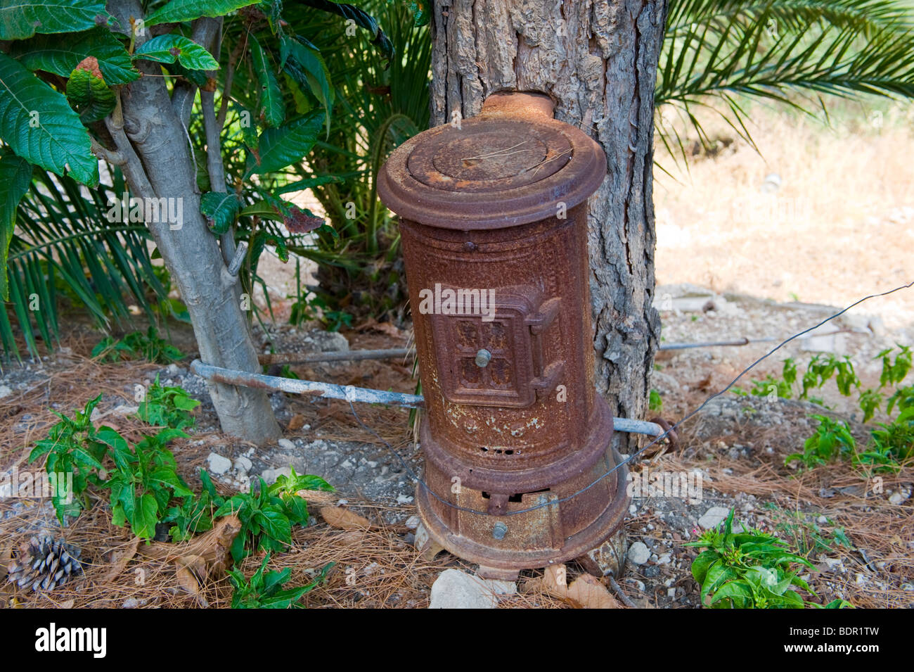 Stove fixed to tree as amusing joke at Markopoulo on Greek island of ...