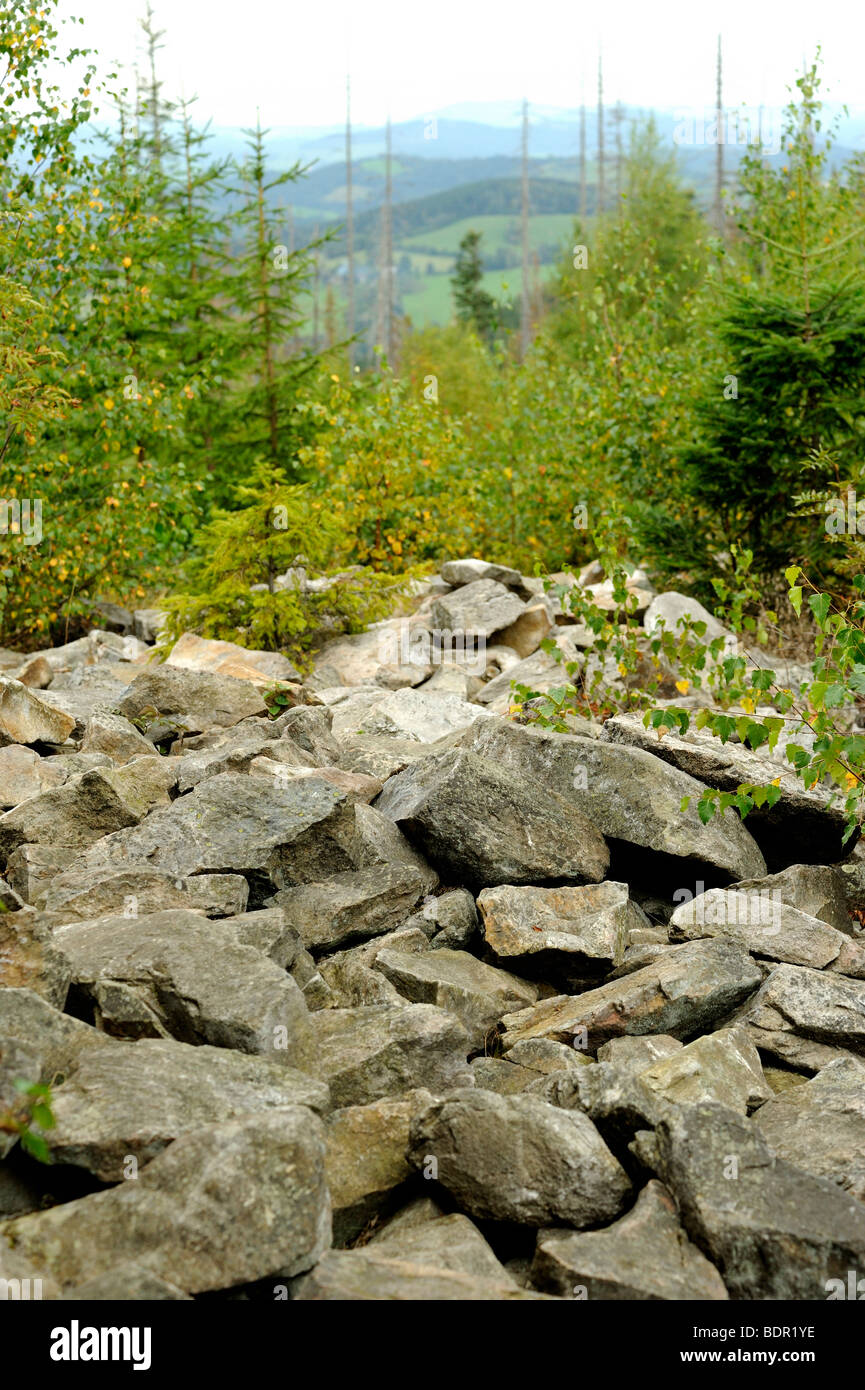 The Bohemian Forest mountain range, Sumava National Park, Böhmerwald ...