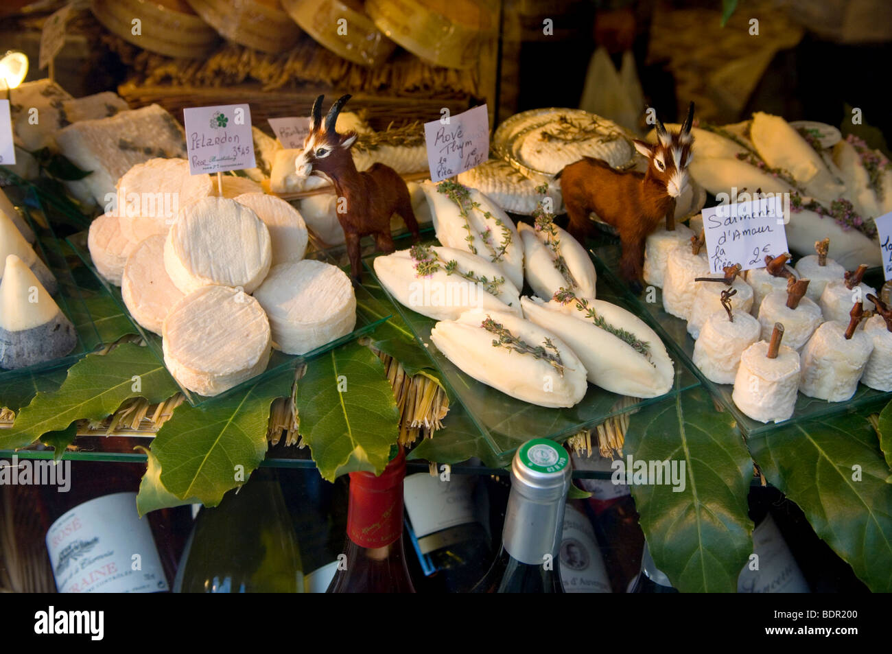 Cheese shop window hi-res stock photography and images - Alamy