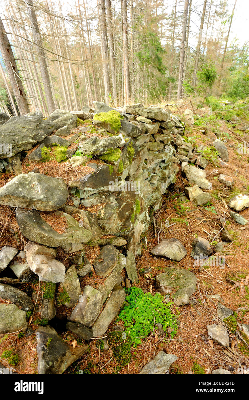 The Bohemian Forest mountain range, Sumava National Park, Böhmerwald ...