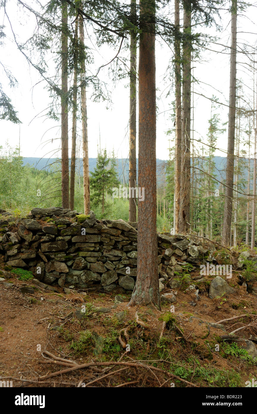 The Bohemian Forest mountain range, Sumava National Park, Böhmerwald ...