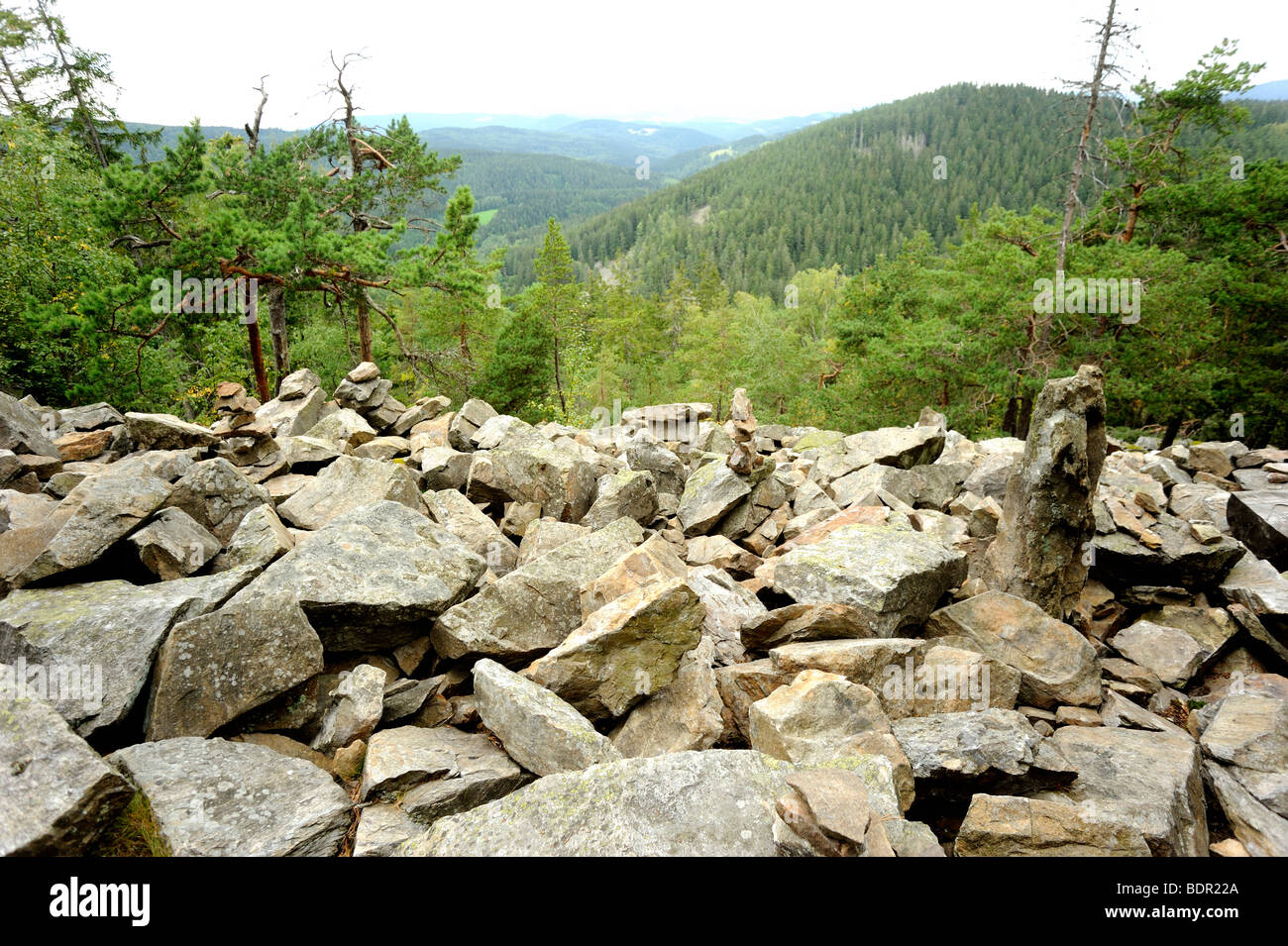 Southern bohemian region hi-res stock photography and images - Alamy
