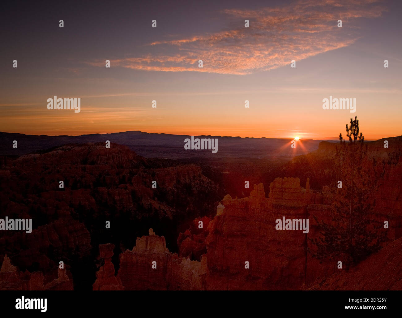 Sunrise warms the hoodoo formations of the Bryce Canyon Amphitheatre ...