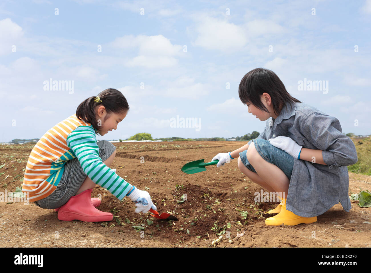Boy and girl digging Stock Photo - Alamy