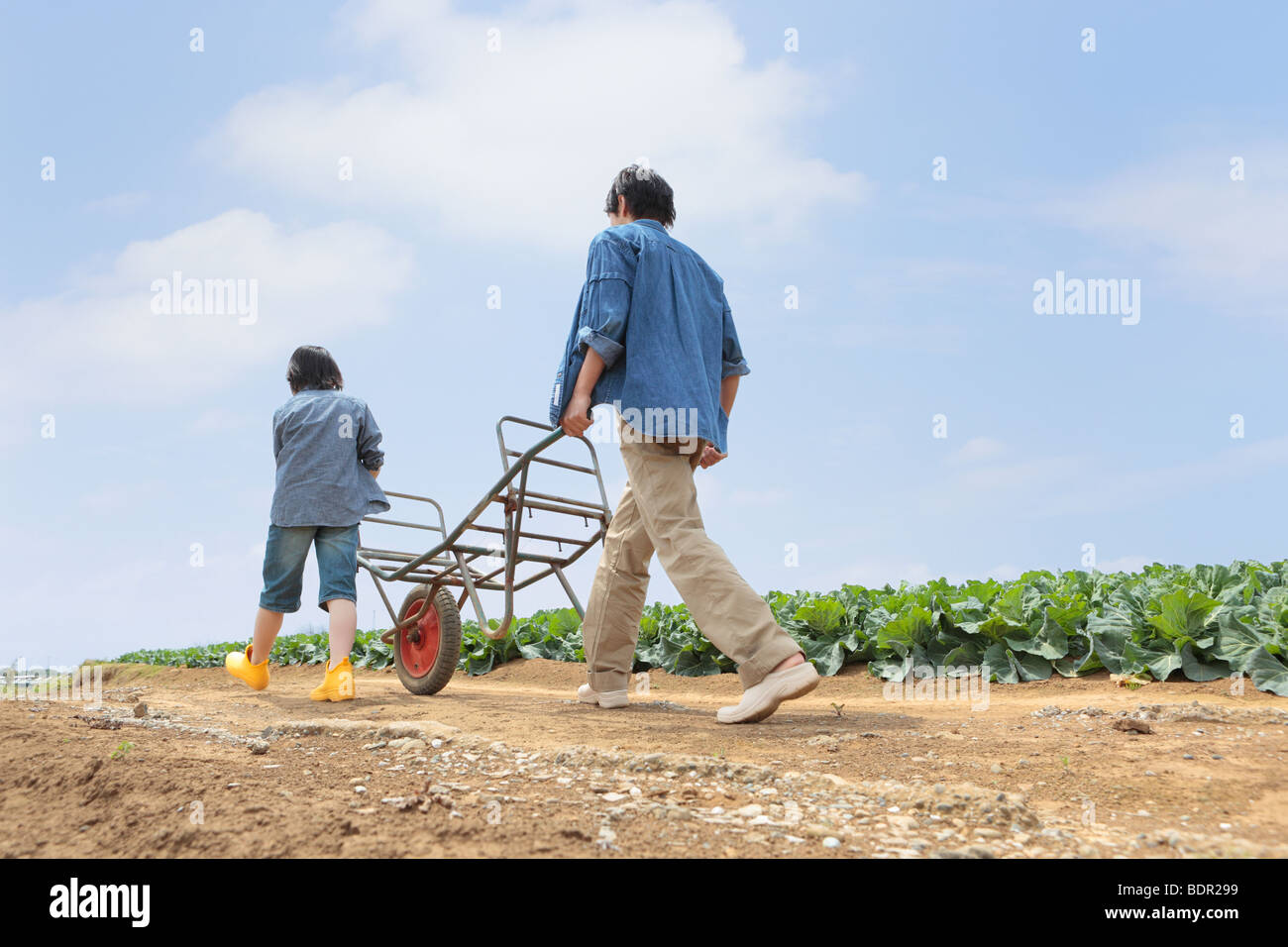 Father and son carrying wheelbarrow Stock Photo - Alamy