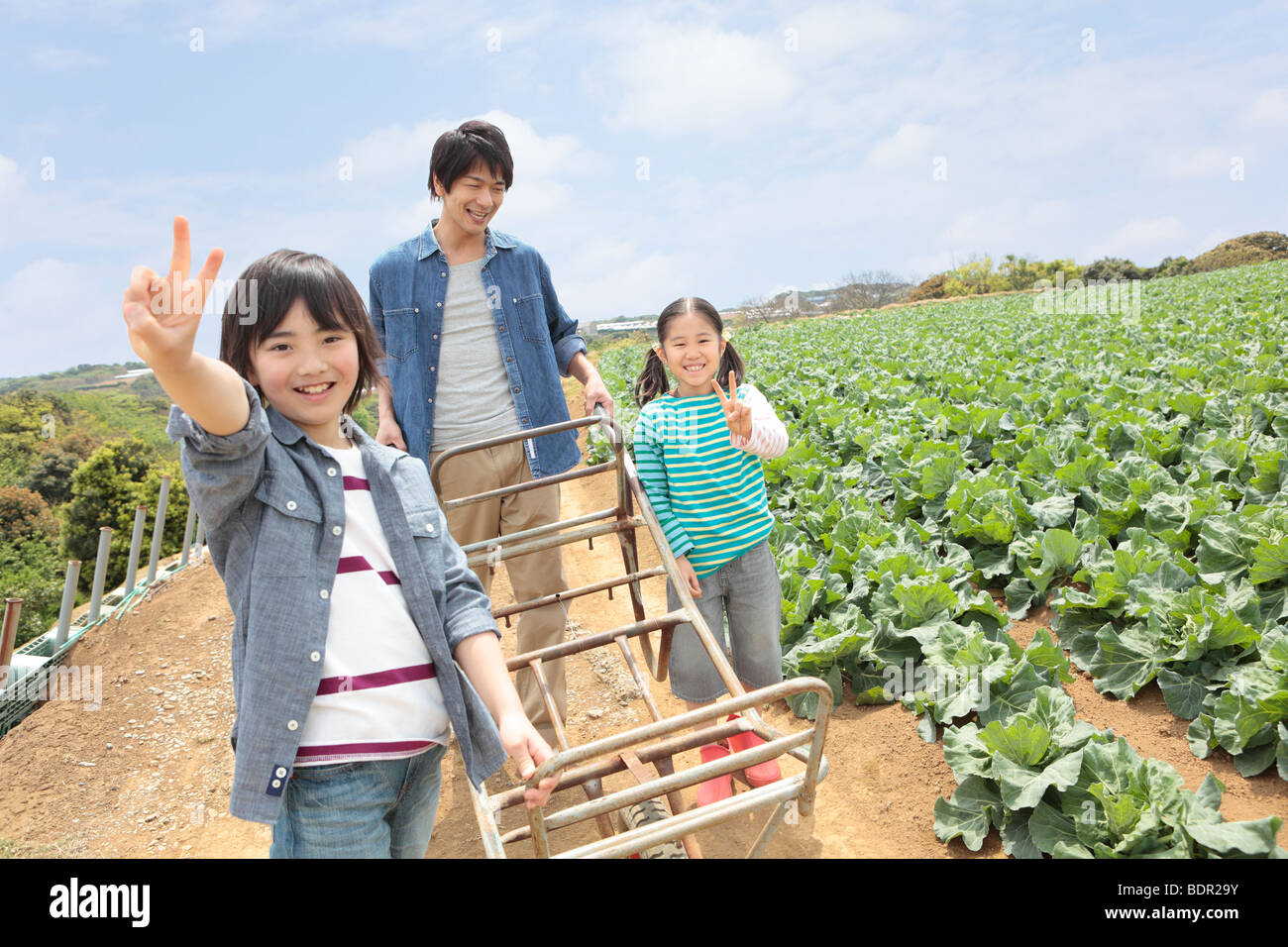 Father and children standing in field Stock Photo - Alamy