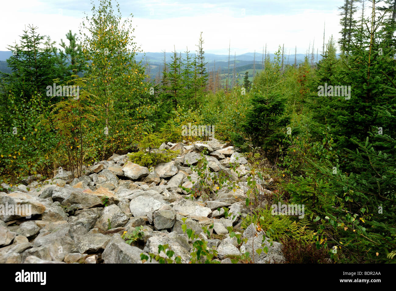 The Bohemian Forest mountain range, Sumava National Park, Böhmerwald ...