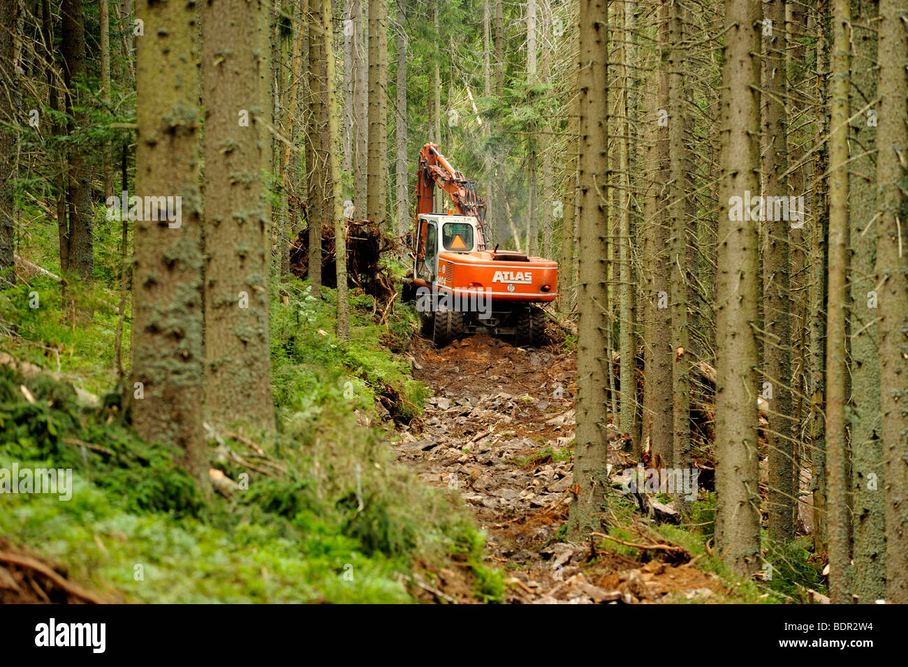 The Bohemian Forest mountain range, Sumava National Park, Böhmerwald ...