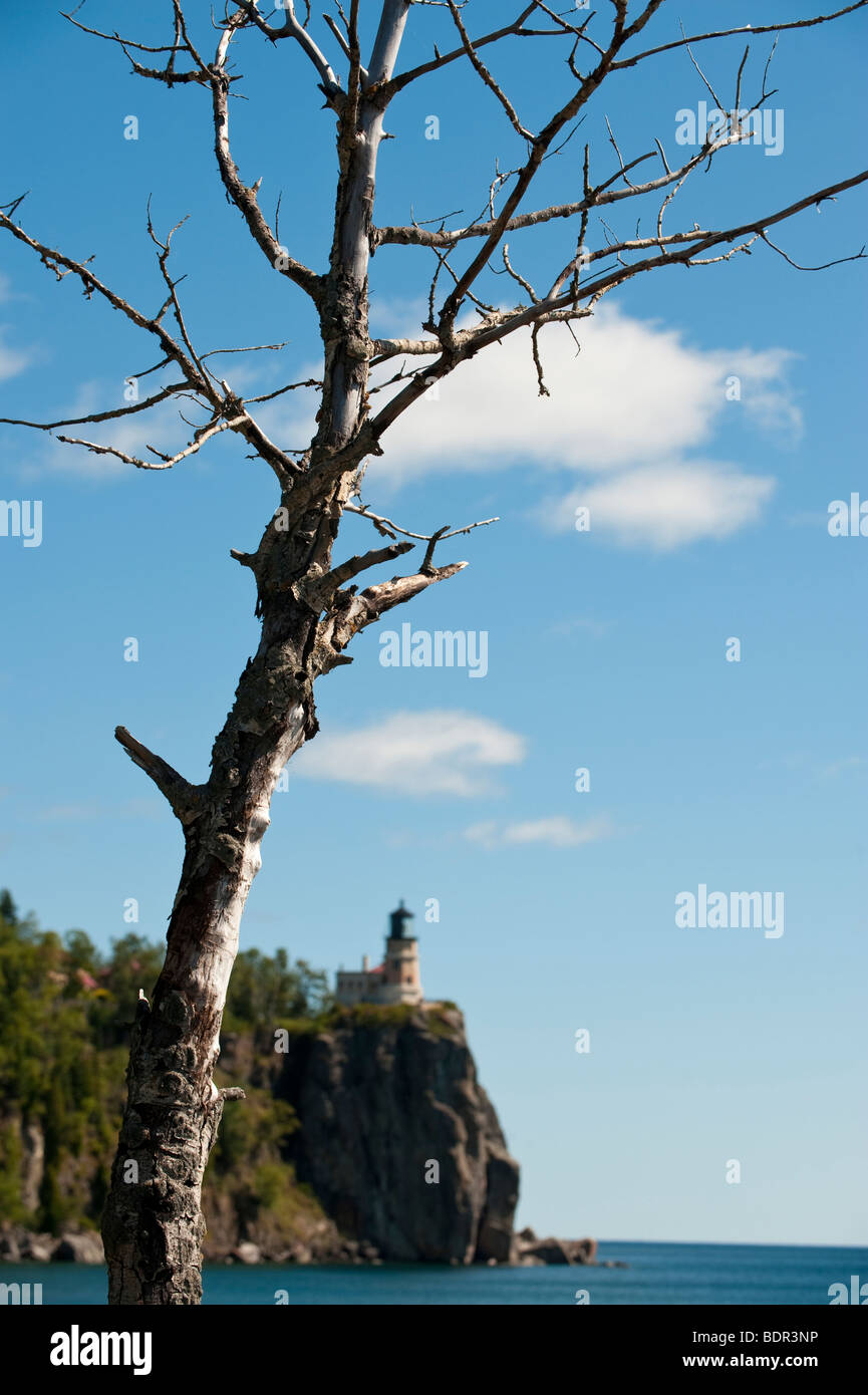 A DEAD TREE STANDS IN THE FOREGROUND AT SPLIT ROCK LIGHTHOUSE Stock ...