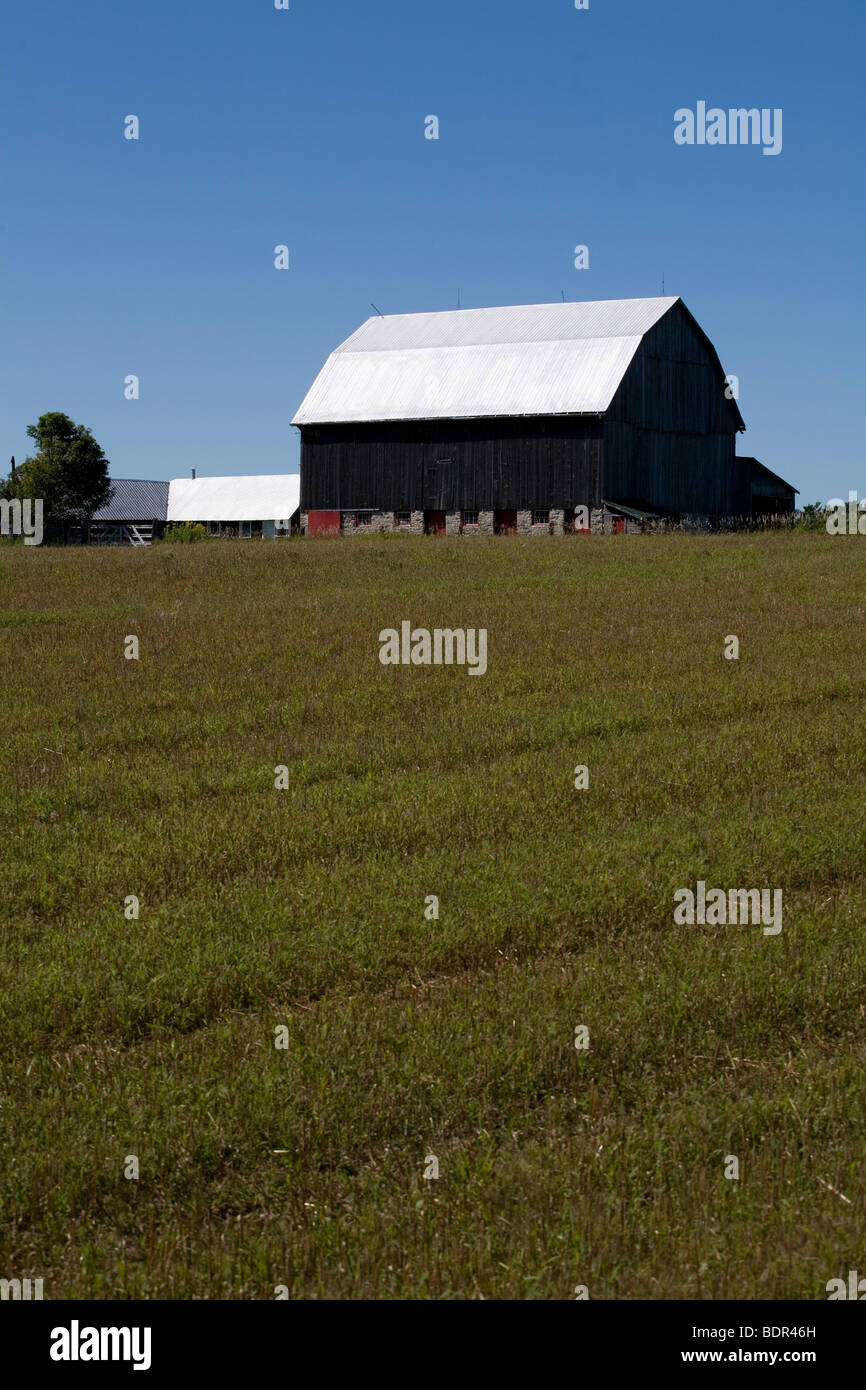 Barn in a field Stock Photo - Alamy